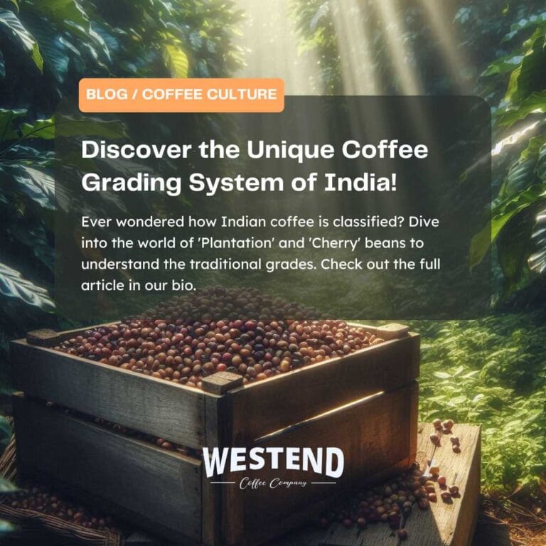 How to Export Coffee from India: Complete Guide 2026 | Coffee Export ...
